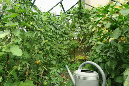 Le 25 mai, conférence exceptionnelle avec Denis Pépin autour du compost ...